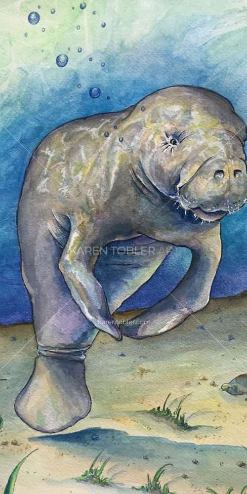 Home – Karen Tobler – Watercolor Artist